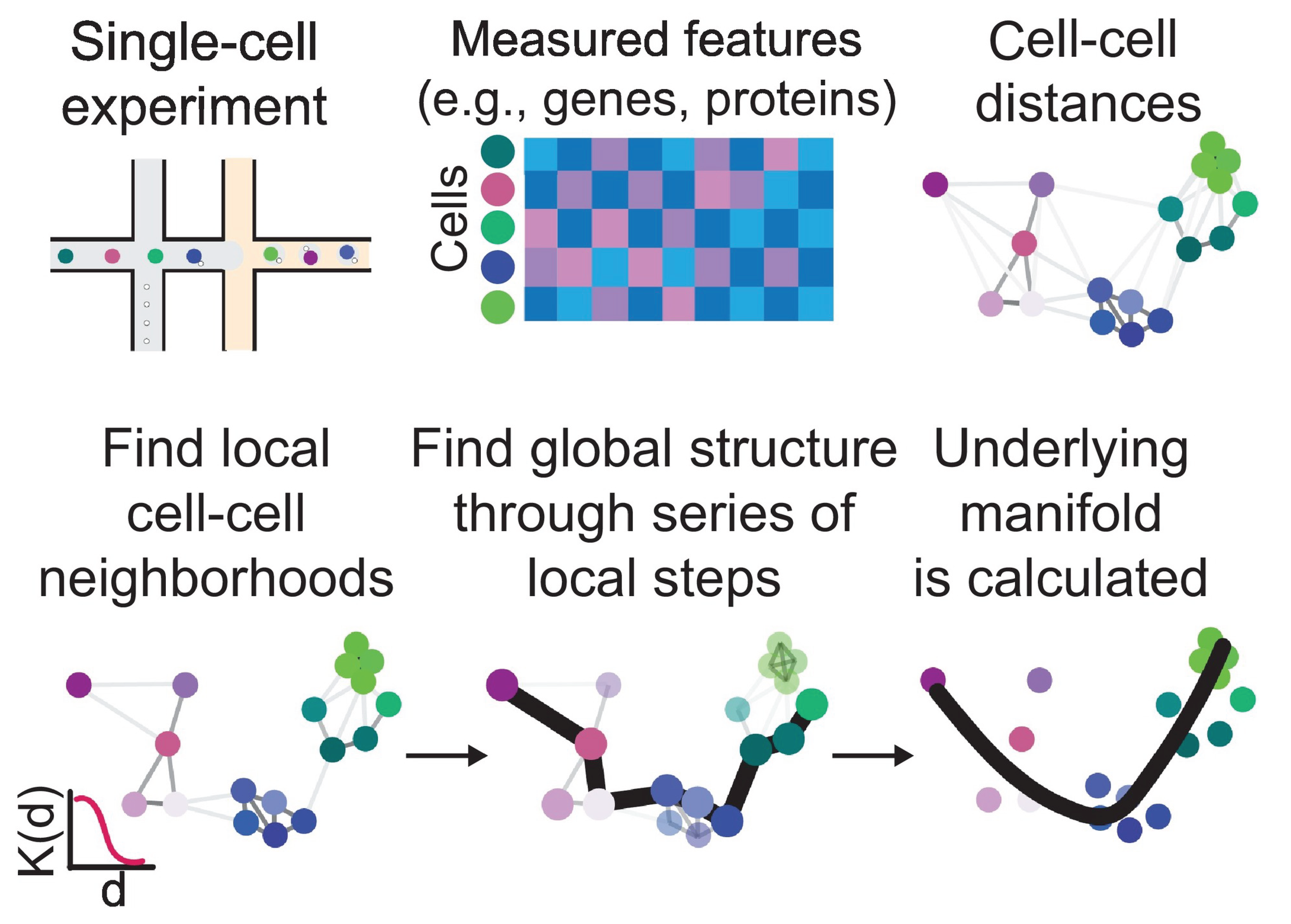 Multiscale geometric and topological analyses for characterizing and predicting immune responses ...